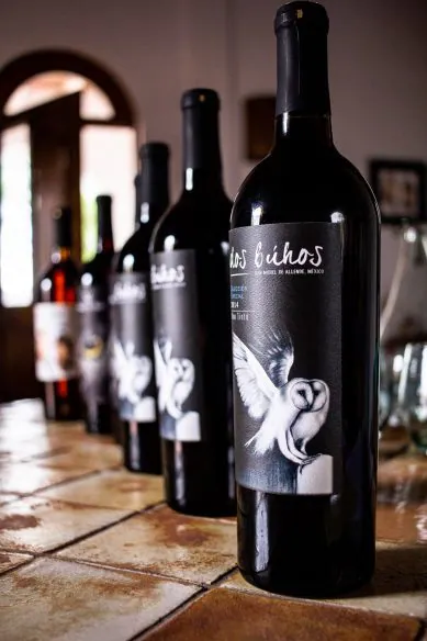 Dos Búhos | Un Viñedo Orgánico y Bodega