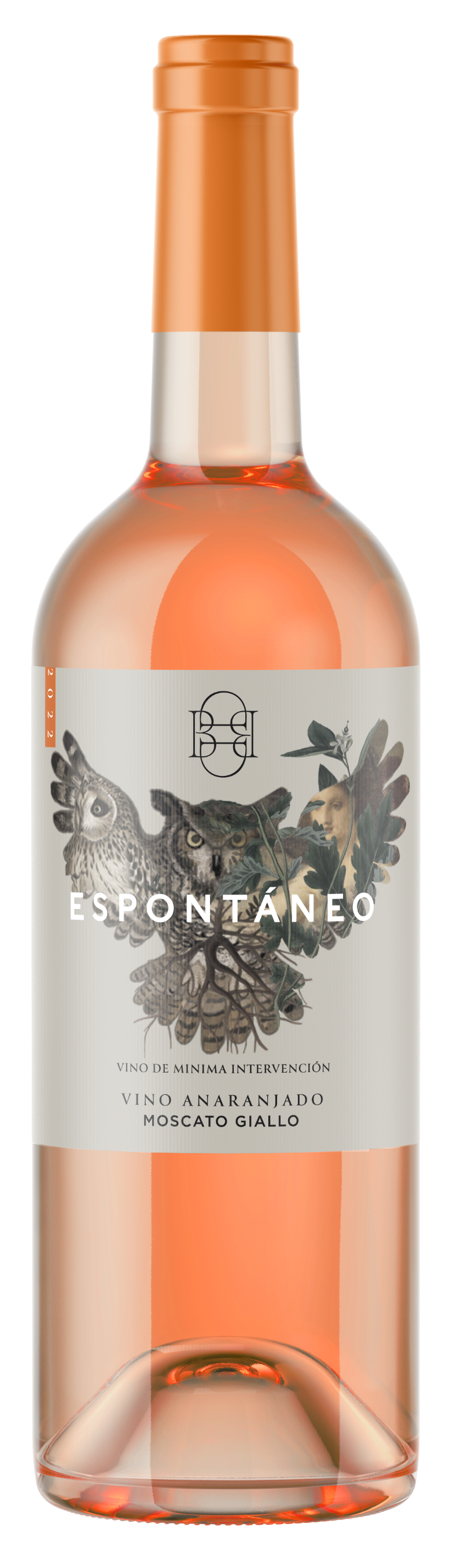 Tienda – Bodega Dos Búhos