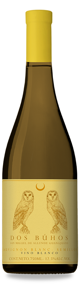 Semillón | Bodega Dos Búhos